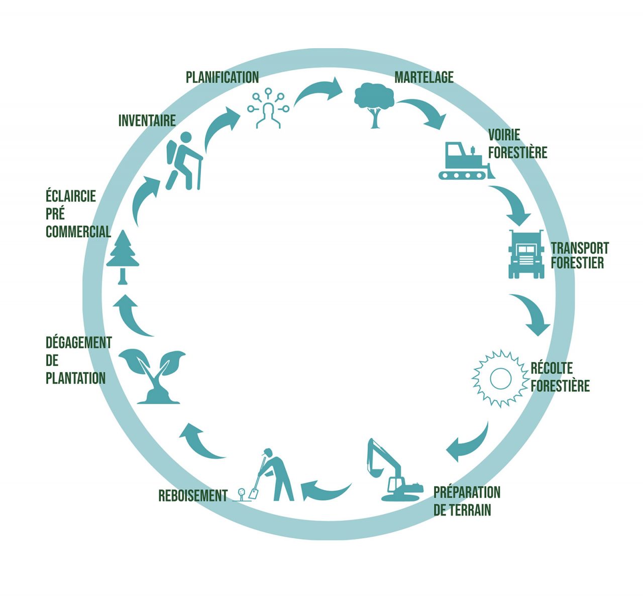 Sylviculture | MC Forêt